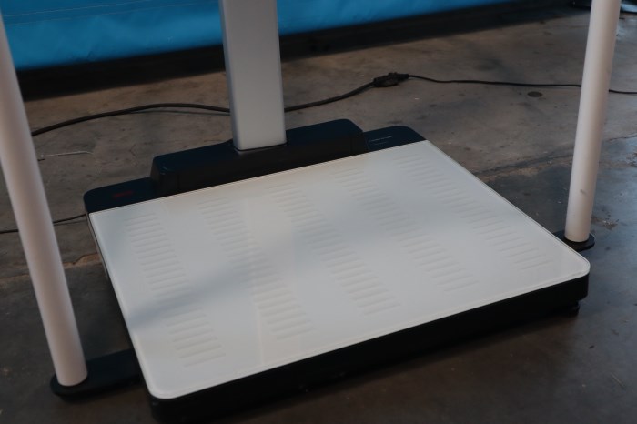 (2) Seca 654 Ultrasonic Measuring Station With ID-Display & Handrail ...