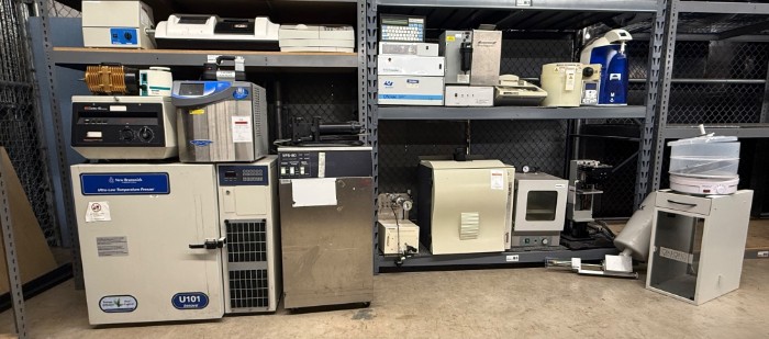 All Auctions Laboratory