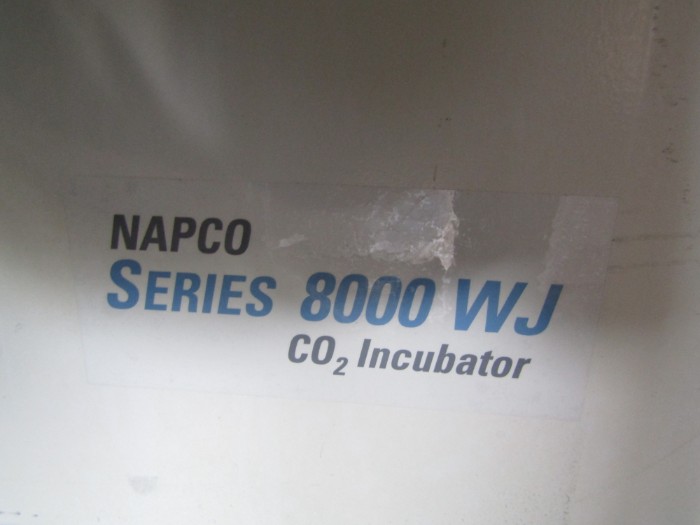 Thermo Scientific Napco Series 8000 WJ CO2 Incubator -Model: 358G for sale
