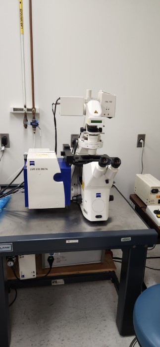 Zeiss LSM 510 Meta Confocal Microscope Confocal with Lasermodule and ...
