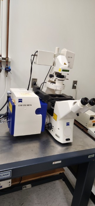 Zeiss LSM 510 Meta Confocal Microscope Confocal with Lasermodule and ...
